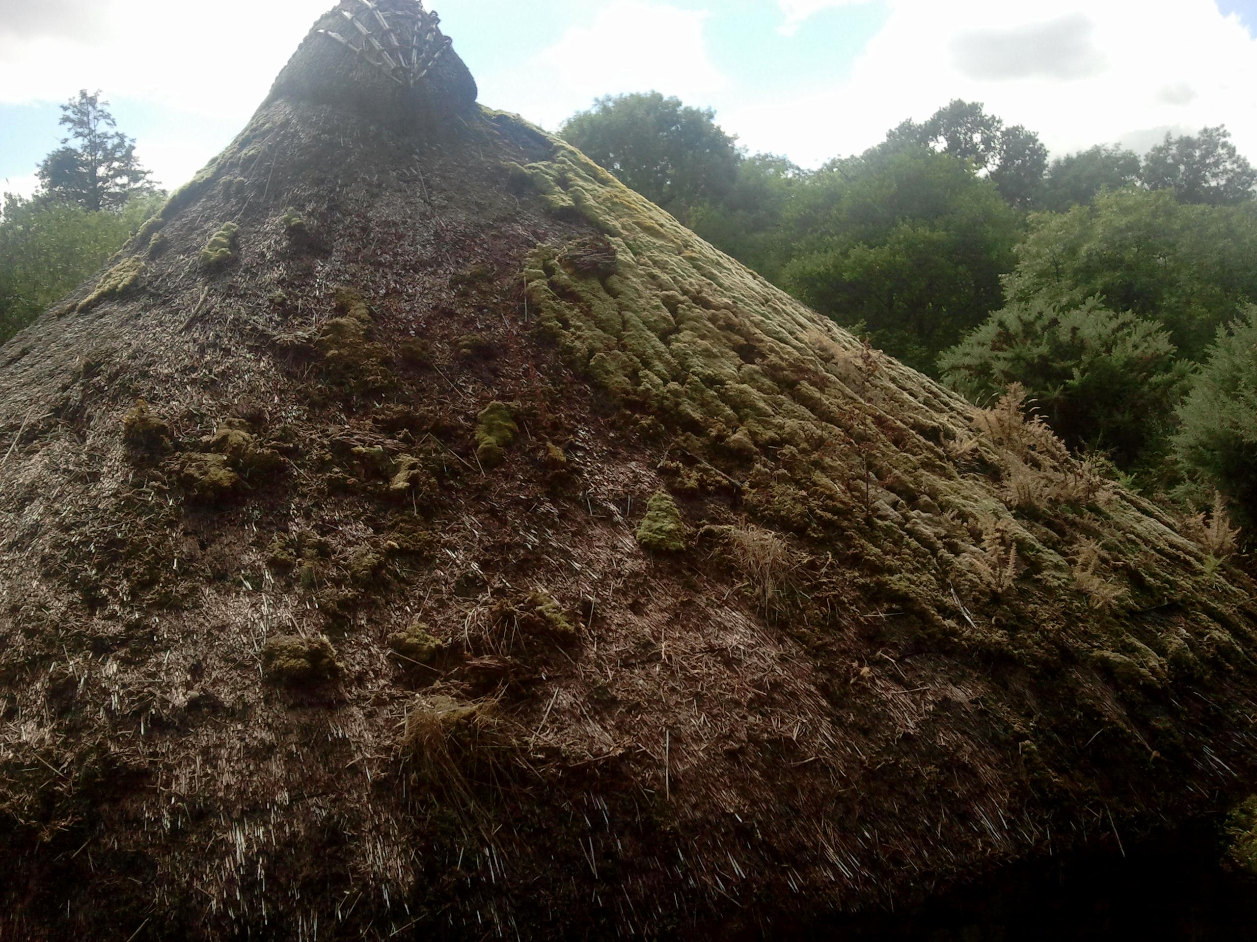 Dark Ages, Reference - Mossy Thatch - Gallery - DakkaDakka